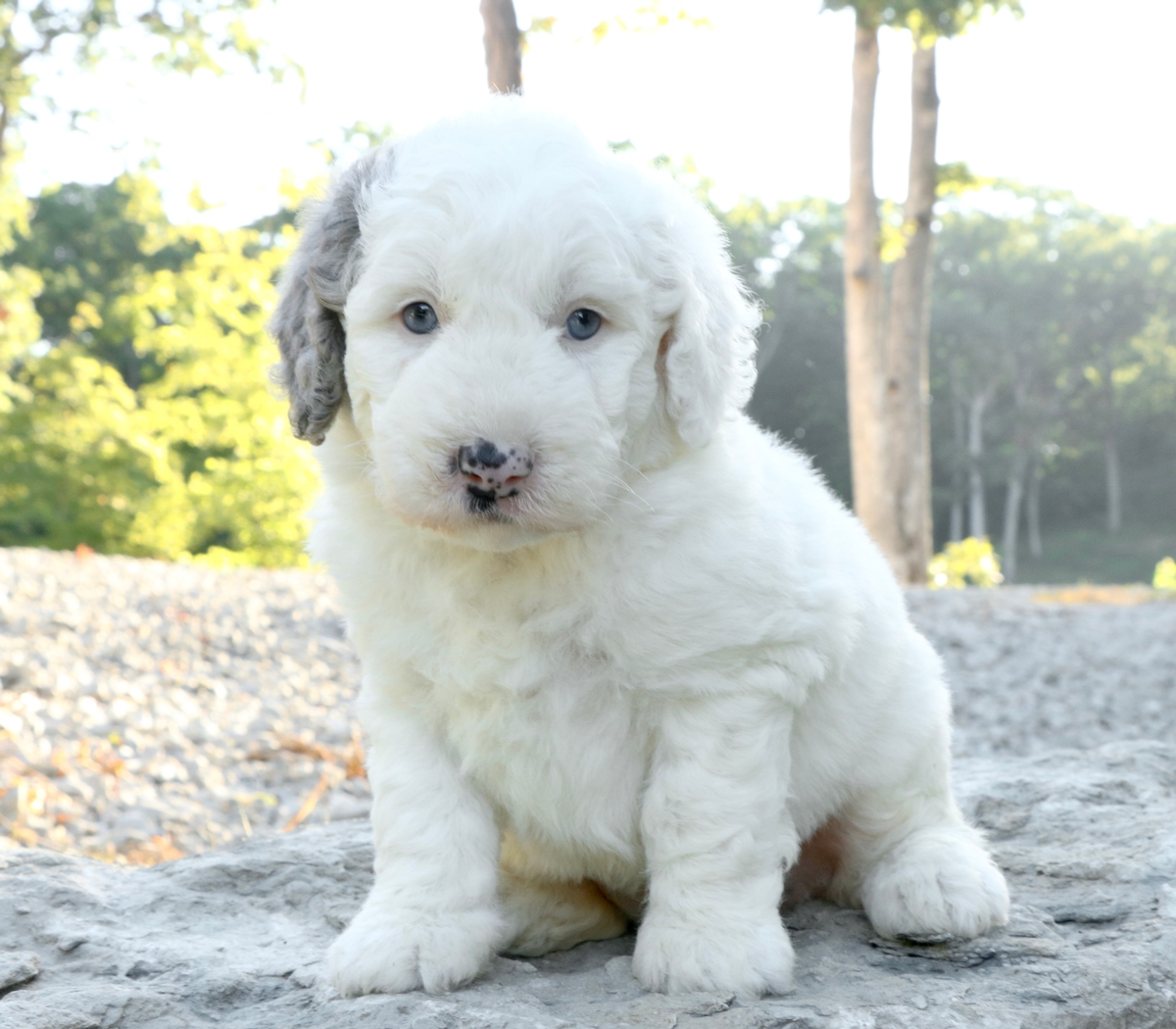 Kate/Captain America