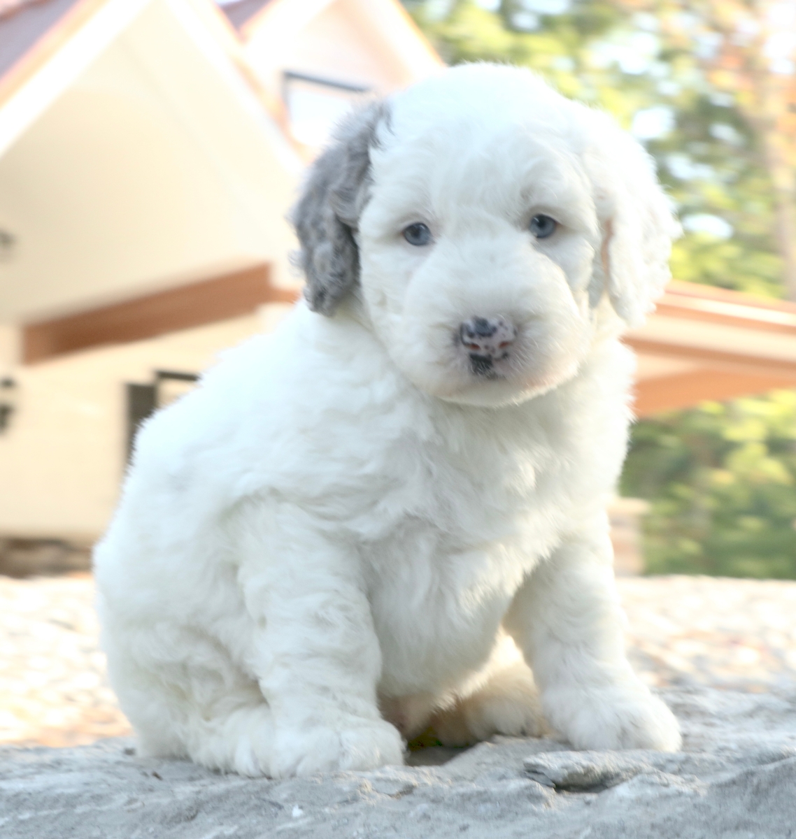 Kate/Captain America